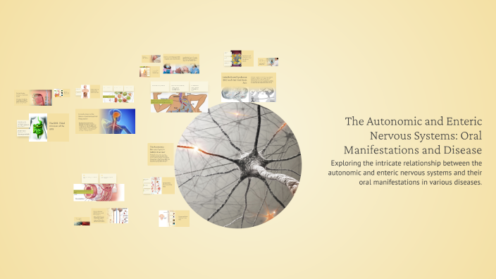 The Autonomic and Enteric Nervous Systems: Oral Manifestations and ...