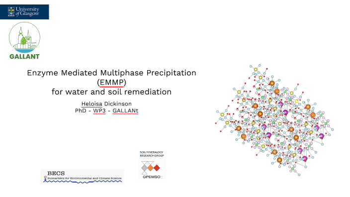 Enzyme Mediated Multiphase Precipitation for water and soil remediation ...