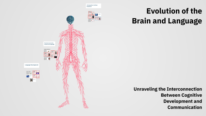 Evolution of the Brain and Language by Lana Stojanovic on Prezi