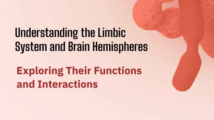 Understanding the Limbic System and Brain Hemispheres by jiomerto ...