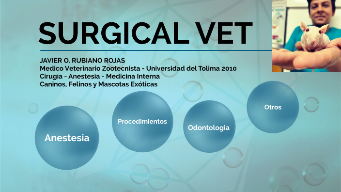 Surgical Vet Servicios by Nathalia Gonzalez on Prezi