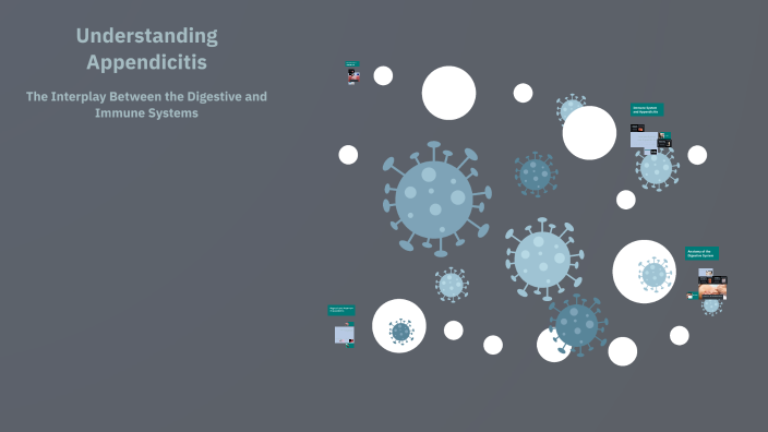 Understanding Appendicitis by Zuha Shaikh on Prezi