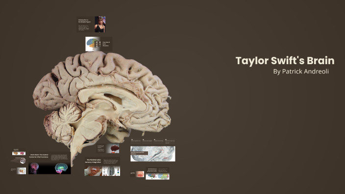 Pseudo Brain Model of a Notable Figure by Patrick Andreoli on Prezi
