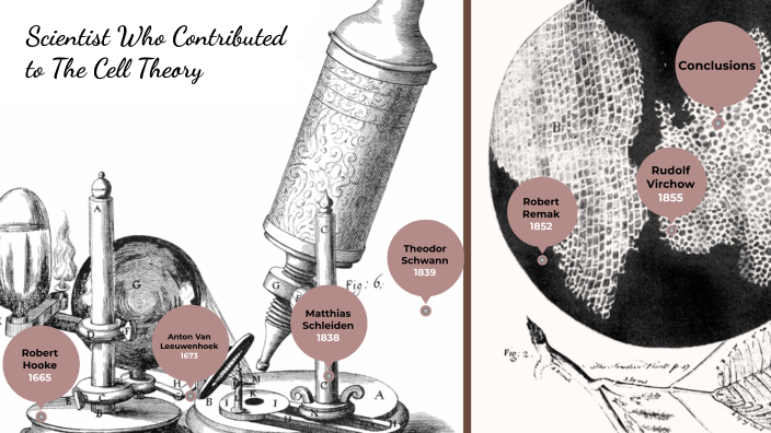 Scientist who contributed to the Cell Theory by Kacy Sosa on Prezi