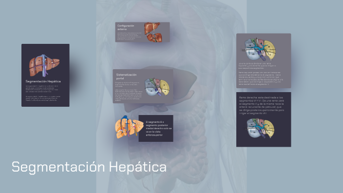 Segmentación Hepática by Abril Trinadori on Prezi