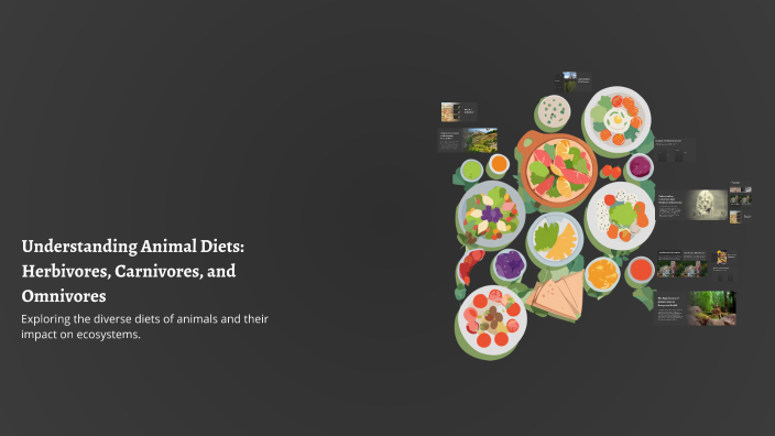 Understanding Animal Diets: Herbivores, Carnivores, and Omnivores by ...