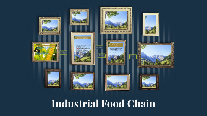 Industrial Food Chain by Brendan Rice on Prezi