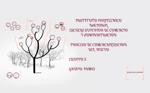 INSTITUTO POLITECNICO NACIONAL by Stephanie Curiel