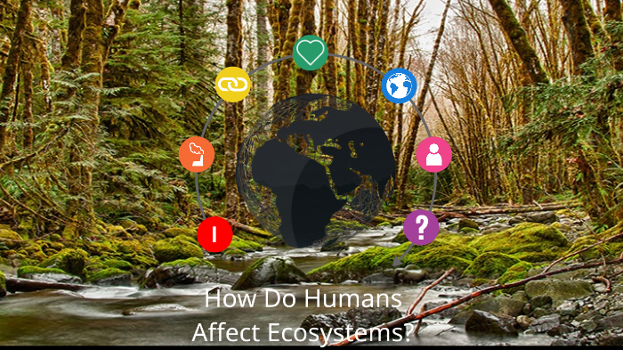 How Humans Affect Ecosystems by Cooper Rorison on Prezi