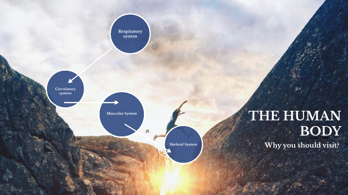 Anatomy final project by Preya Patel on Prezi