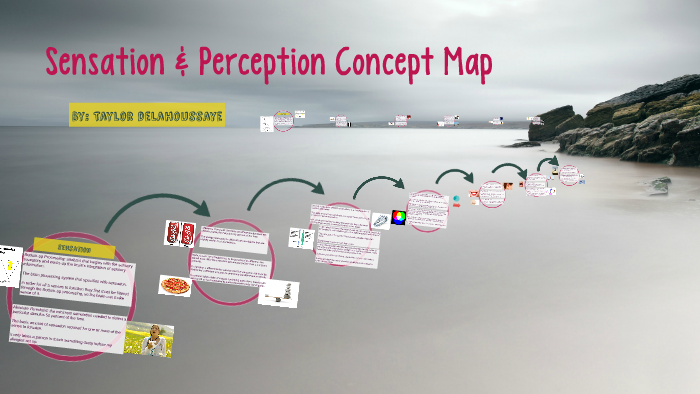 Sensation & Perception Concept Map by Taylor Delahoussaye on Prezi