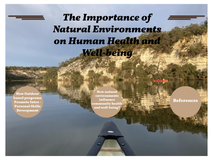 The Importance of Natural Environments on Human Health and Well-being ...