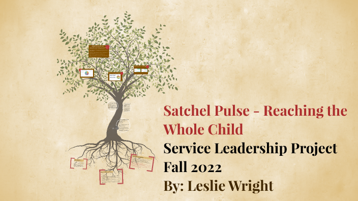 Satchel Pulse - Reaching the Whole Child by on Prezi