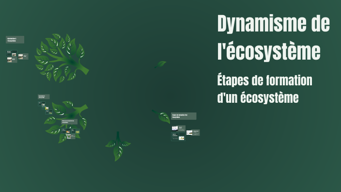 Dynamisme de l'écosystème by Jghhh Ruuu on Prezi