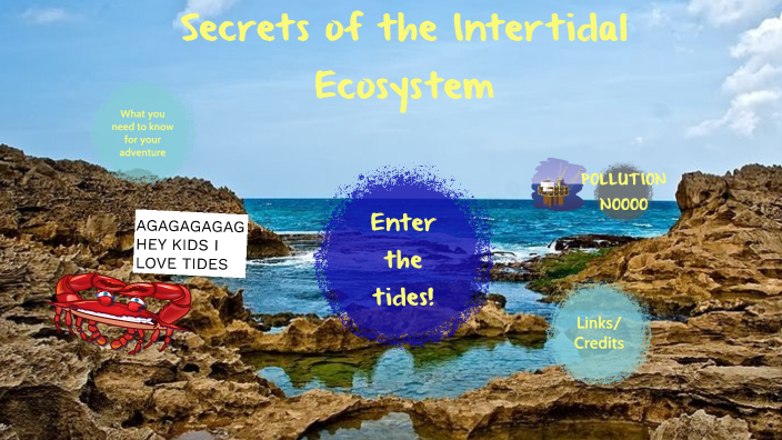 Rocky Intertidal Ecosystem: Secrets of the Intertidal Ecosystem - Shane ...