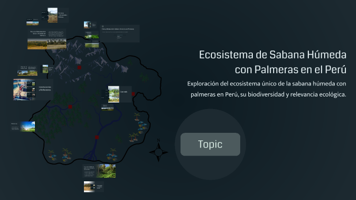 Ecosistema de Sabana Húmeda con Palmeras en el Perú by alberto asencios ...