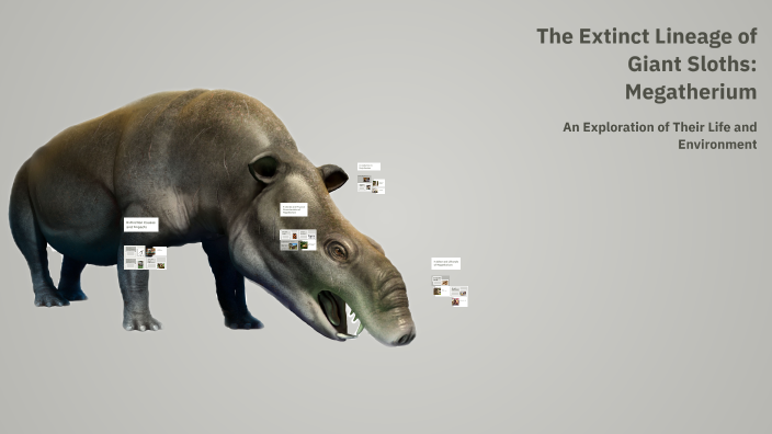 The Extinct Lineage of Giant Sloths: Megatherium by дарина лысак on Prezi