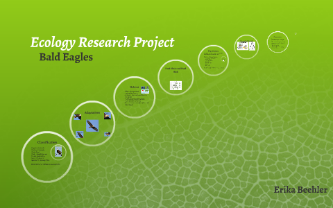 Ecology Research Project by Erika Beehler on Prezi
