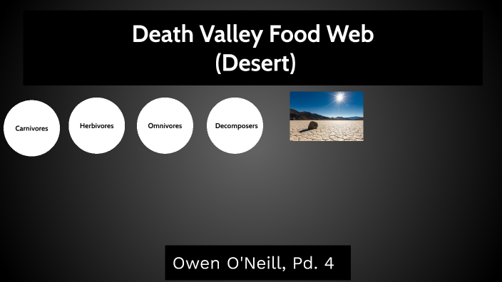 Death Valley Food Web by Owen O'Neill on Prezi