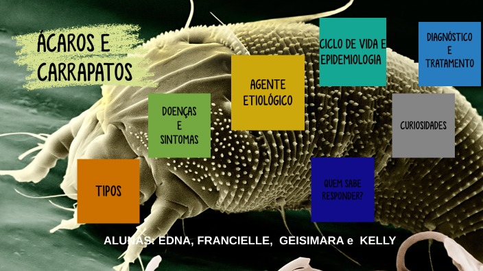 CARRAPATOS E ÁCAROS by francielle lopes santos on Prezi