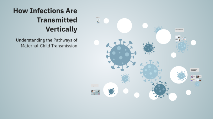 How Infections Are Transmitted Vertically by Malk Awad on Prezi