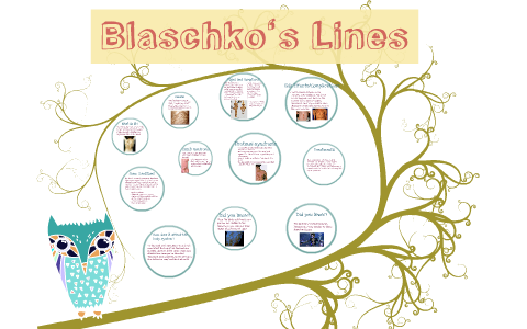Blaschko's Lines by Rebecca Glenn on Prezi