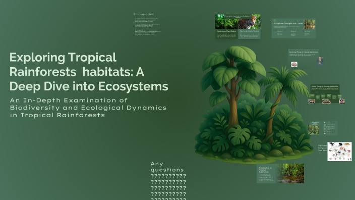 Exploring Tropical Rainforests: A Deep Dive into Ecosystems by River ...