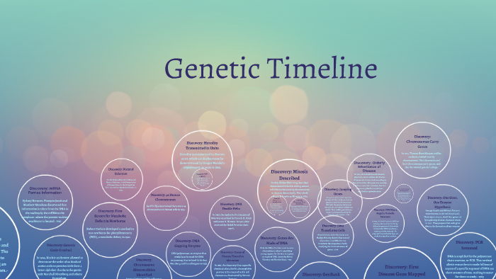 Genetic Timeline by Mckenzie Smith