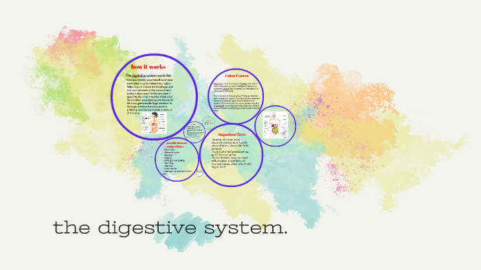 the digestive system. by Anmol Bains