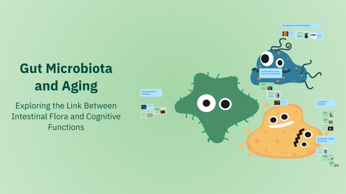 Gut Microbiota and Aging by damla cetintas on Prezi