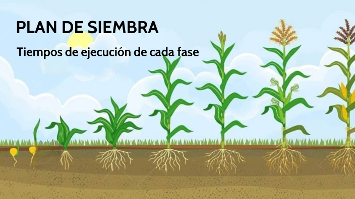 Plan de Siembra by Nicole Montañez on Prezi