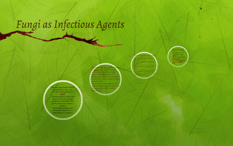 Fungi as Infectious Agents by Elizabeth Taylor on Prezi