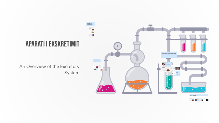 Aparati I Ekskretimit by Ariana Bracaj on Prezi
