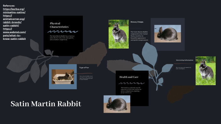 Satin Martin Rabbit by Kiley Slone on Prezi