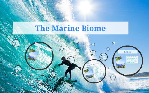 The Marine Biome by Graham Shoemaker-Hachenberger on Prezi