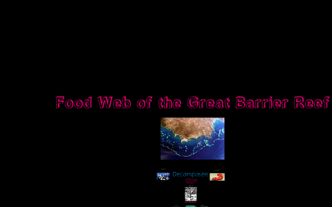Food Web of the Great Barrier Reef by Emily Ziebell on Prezi