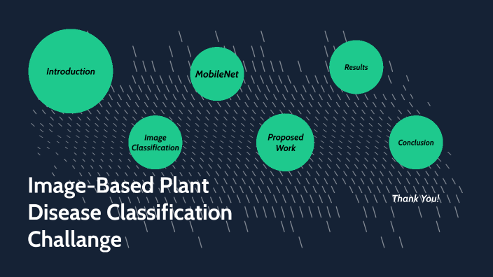 Leaf Segmentation Challenge by Nerit Şan Akman on Prezi