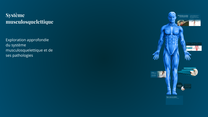 Système musculosquelettique by Audrey Brochu on Prezi