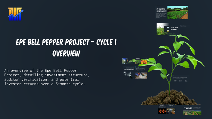 Epe Bell Pepper Project - Cycle 1 Overview by Uche Chugbo on Prezi