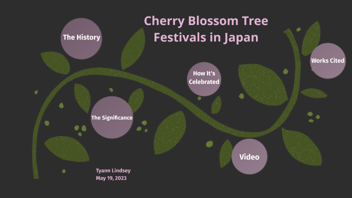 Cherry Blossom Tree Festivals in Japan by Bird L on Prezi