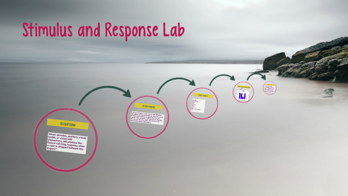Stimulus Response Lab by Emma Papa on Prezi