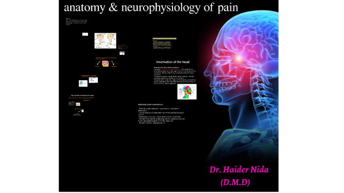 anatomy & neurophysiology of pain by N H on Prezi