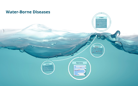 Water-Borne Diseases by Kiley Gibbs on Prezi