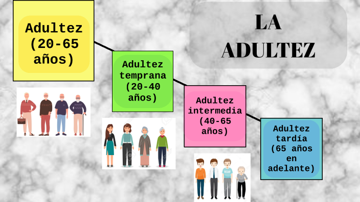 Edad Adulta by Mariana GARZON ORTEGA on Prezi