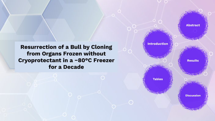 Resurrection of a Bull by Cloning from Organs Frozen without ...