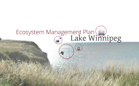 Ecosystem Management by Lea Lebel on Prezi