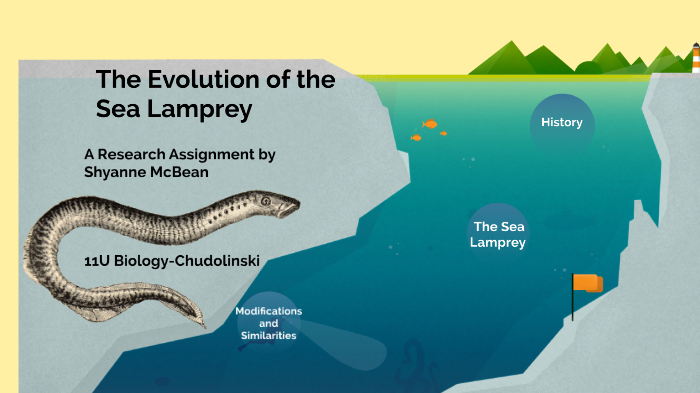 The Evolution of the Lamprey Fish by Shyanne McBean on Prezi