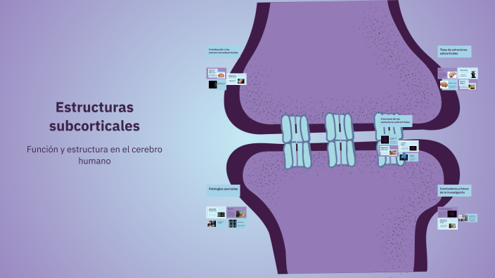 Estructuras subcorticales by Adriana Yaeli Flores Sanchez on Prezi