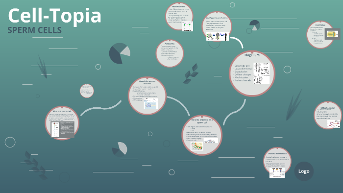 Cell-Topia by Rebecca Runhart on Prezi