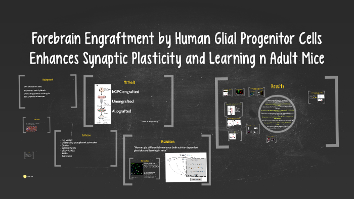 Forebrain Engraftment by Human Glial Progenitor Cells Enhanc by ...